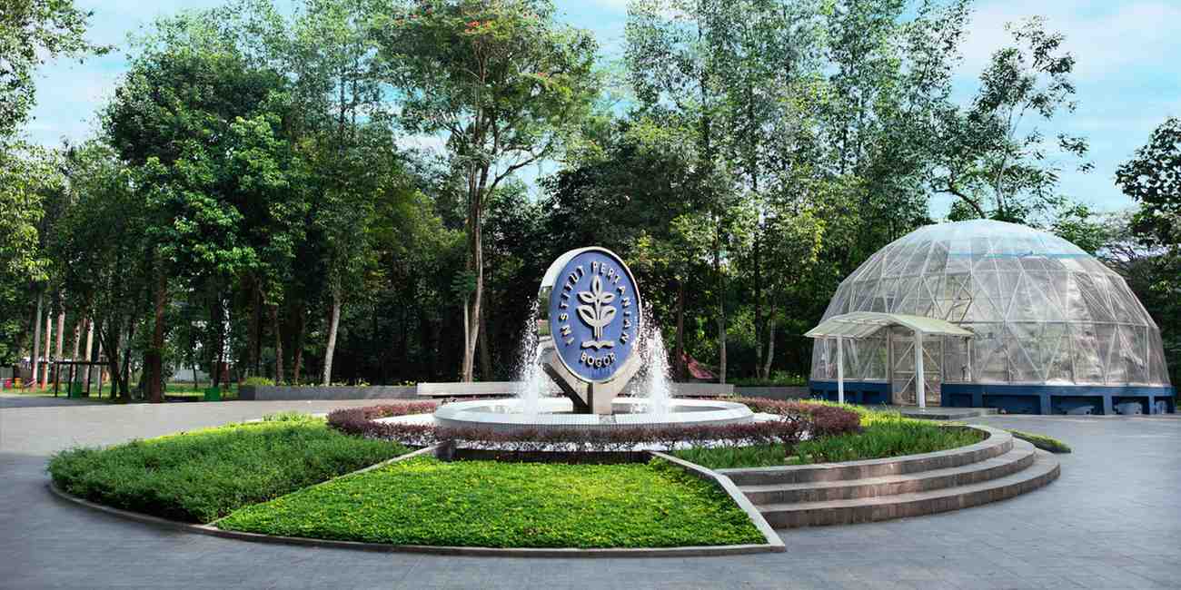IPB Coin - IPB University